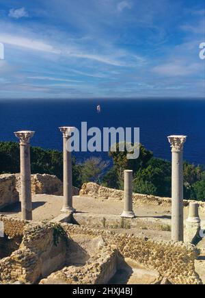 Tuscan Archipelago, Giannutri Island, Tuscany, Italy, Europe Stock ...
