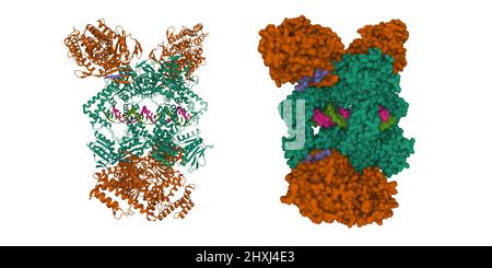 3d Model of a molecule from color spheres and rod Stock Photo - Alamy