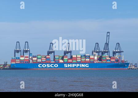 Cosco Shipping Star Container Ship enters Felixstowe Port - The Cosco ...