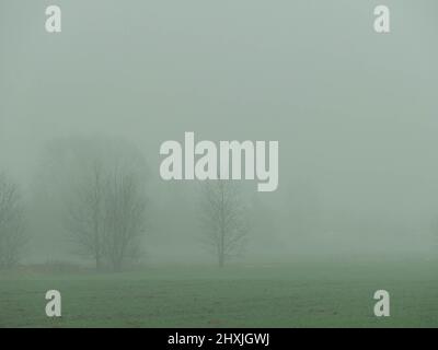 Power lines and shrubs are covered in ice during a winter storm Sunday ...