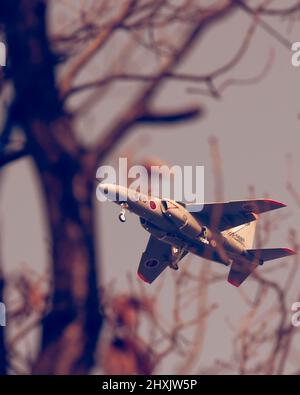 Japan Self-Defense Force (JSDF) senior officers pose for a photo during ...