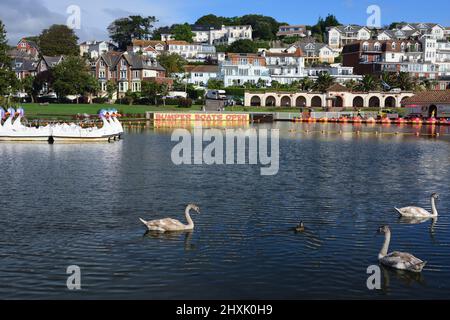 Boating lake at Goodrington Stock Photo - Alamy