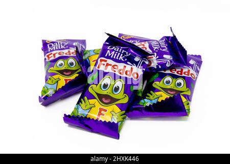 Cadbury Dairy Milk Freddo bar of chocolate out of wrapper isolated on ...