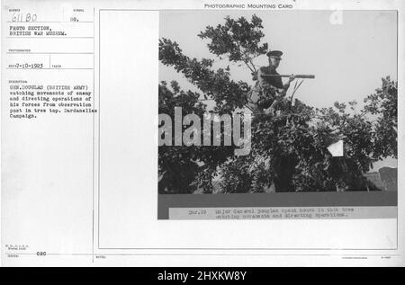 WW1 observation post from the First World War One at Pervijze, West ...