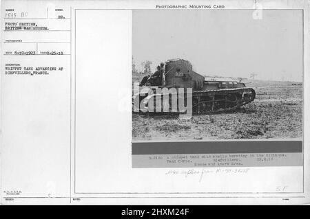 Whippet Tank 1918 Stock Photo - Alamy