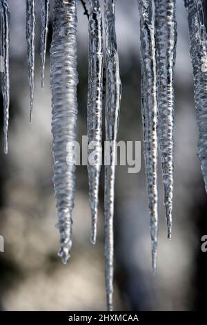 icicles hanging from the edge of roof Stock Photo - Alamy