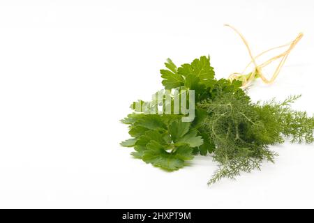 Parsley sprig with fresh fennel isolated on white background ...
