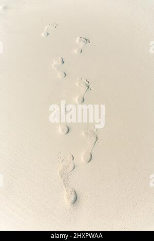human adult footprint in the fine sand at the beach Stock Photo - Alamy