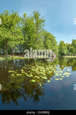 Groeneveld castle and estate, Baarn, Utrecht, Netherlands *** Local ...