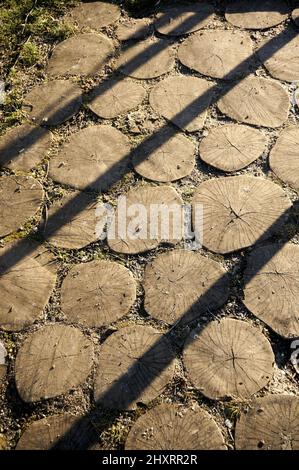 Surface made of tree trunks with shadows Stock Photo - Alamy