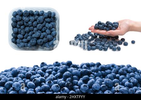 Texture of blueberry berries close up. Fresh blueberry background Stock ...