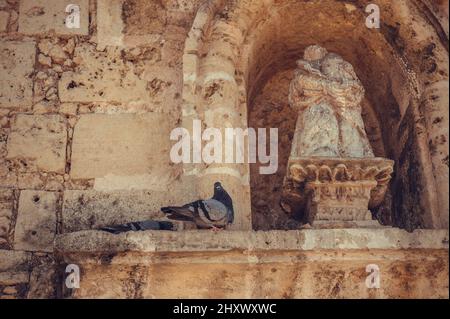 Ancient wall, doves. Antique architecture in caribbean city. Monument ...