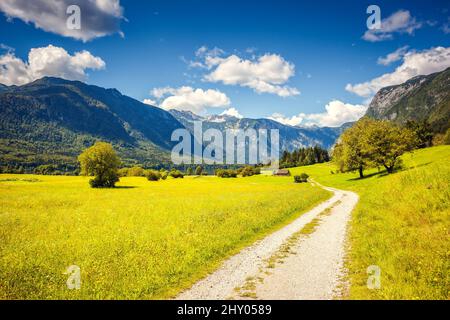 Fantastic panorama on the Triglav national park, located in the Bohinj ...