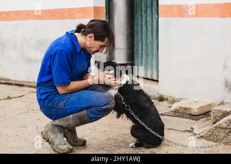 Full body of male owner and Border Collie running together on green ...