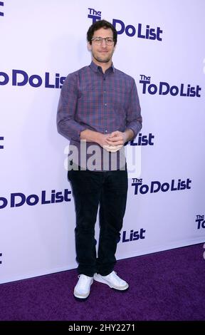 Adam Samberg attending "The To Do List" premiere held at the Regency ...