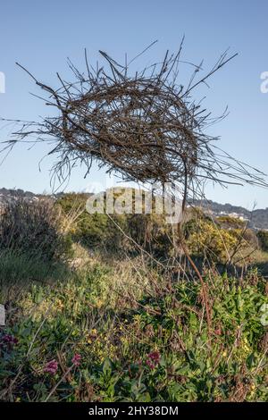 The Albany Bulb is a unique waterfront park located along the San ...