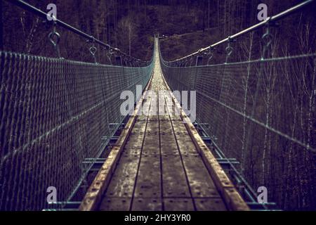 Suspension rope bridge in Hohe Schrecke, Germany Stock Photo - Alamy