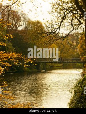 Bridge over the river among green trees on a summer cloudy day. River ...