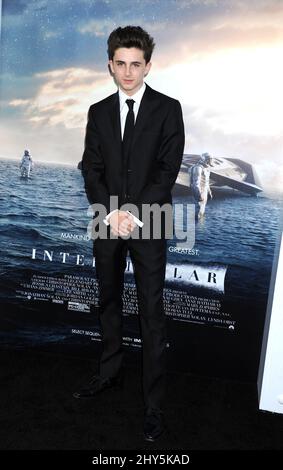 Timothee Chalamet at the "Interstellar" premiere held at the AMC ...