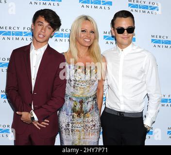 (L-R) Dylan Lee, Pamela Anderson, Brandon Lee, Raina Lawson and guest ...