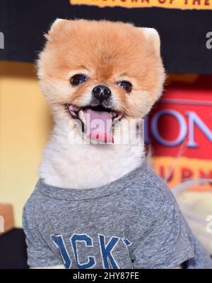 Jiff attending the premiere of Disney's "The Lion Guard: Return Of The ...