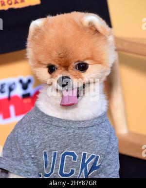 Jiff attending the premiere of Disney's "The Lion Guard: Return Of The ...