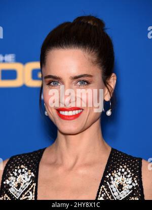 Amanda Peet attending the Directors Guild Awards 2016 held at the Hyatt ...