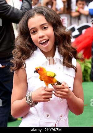 Asia Monet Ray attending "The Angry Birds Movie" Premiere held at ...