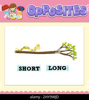 Opposite English Words long and short illustration Stock Vector Image ...
