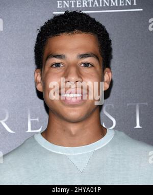 Marcus Scribner attending the 'Free State of Jones' premiere in Los ...