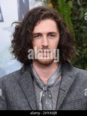 Andrew Hozier-Byrne, Hozier attending the world premiere of The Legend ...