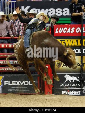 LAS VEGAS, NV - NOVEMBER 6: Joao Henrique Lucas takes his best shot at ...