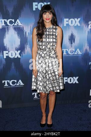 PASADENA, CA - JANUARY 11: Hannah Simone at the Fox Winter TCA All-Star ...