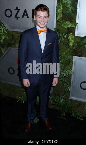 Carson Holmes attending the New York premiere of Ozark Stock Photo - Alamy