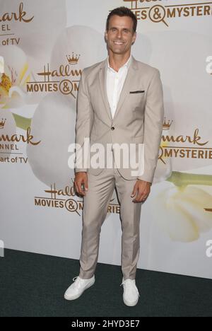 Cameron Mathison attending the Hallmark Channel Summer Press Tour in ...