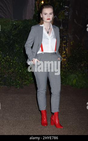 Morgan Turner attending the Jumanji: Welcome to the Jungle Premiere in ...