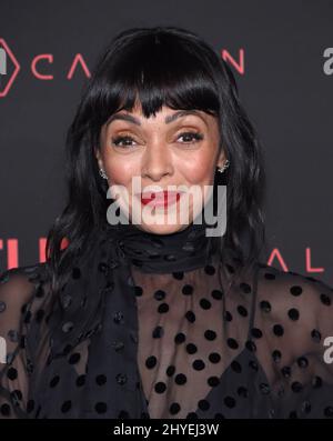 Tamara Taylor attending season one premiere of Netflix's Altered at ...
