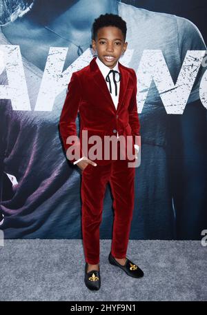 Seth Carr attending a special screening of Breaking In in Los Angeles ...