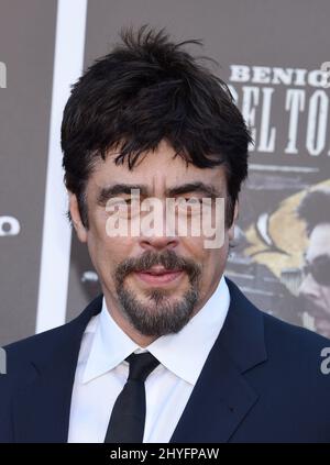 Benecio Del Toro at the "Sicario: Day Of The Soldado" Los Angeles ...