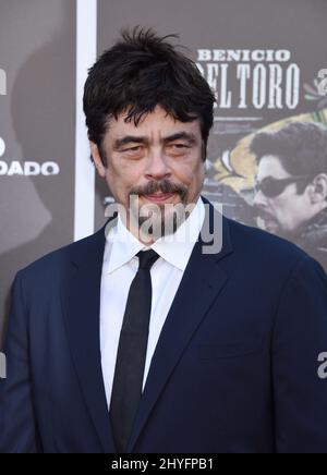 Benecio Del Toro at the "Sicario: Day Of The Soldado" Los Angeles ...