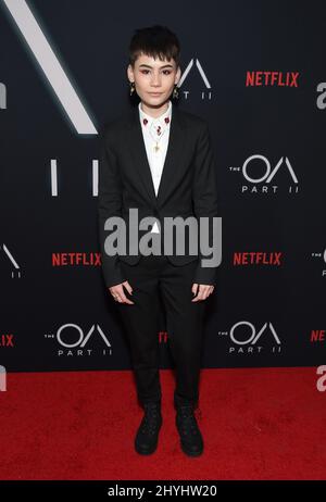 Ian Alexander at Netflix's "The OA Part II" premiere held at LACMA on ...