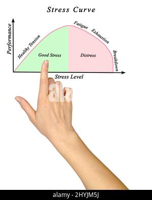 Graph of performance and stress Stock Photo - Alamy