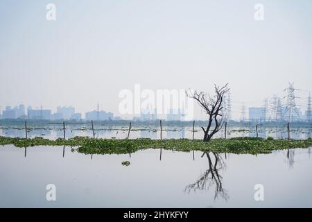 Beautiful cityscape of Gurgaon in Northern India Stock Photo - Alamy