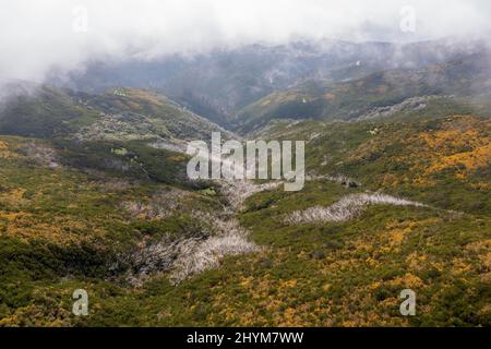 Ravine with mist and gorse on the barren plateau of Paul da Serra ...