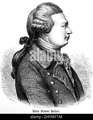 Peter Simon Pallas, German explorer, zoologist and botanist, 1741-1811 ...