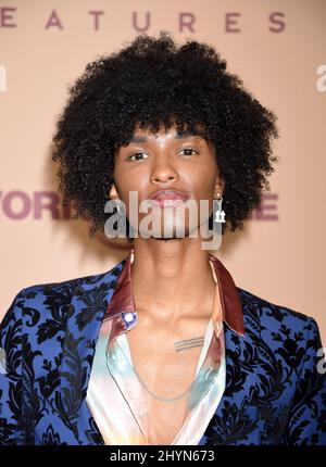 Ari Fitz attending the Emma Premier, held at the Directors Guild of ...