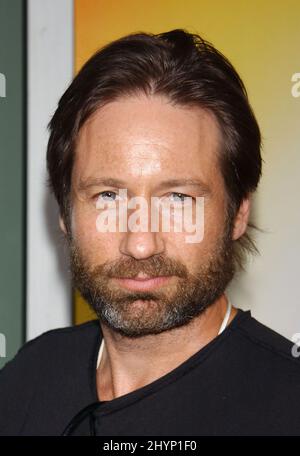 David Duchovny attends the world premiere of Malice, at the BFI ...