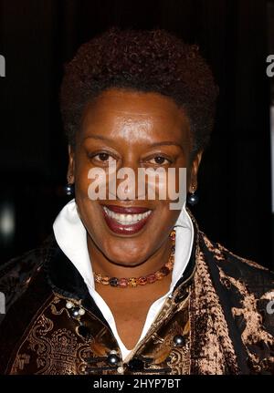 THE SHIELD CCH POUNDER THE SHIELD CCH POUNDER Stock Photo - Alamy