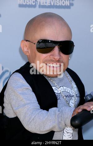 Verne Troyer 2008 MTV Movie Awards at the Gibson Amphitheatre ...