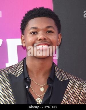 Cedric Joe at the world premiere of "Space Jam: A New Legacy" held at ...